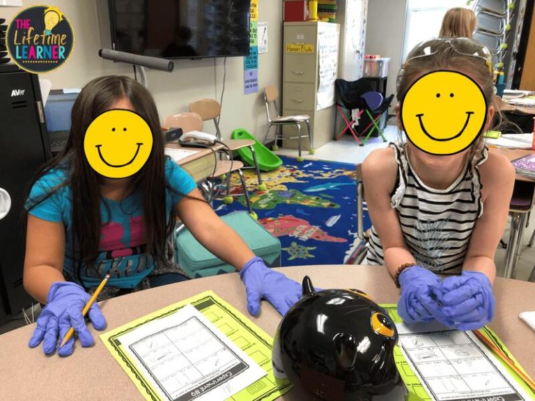 Scientist Classroom Transformation - The Lifetime Learner