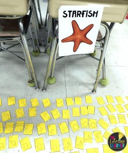 Under the Sea Classroom Transformation - The Lifetime Learner