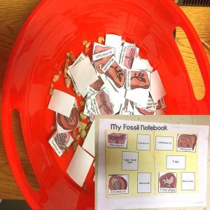 End of the Year Classroom Transformations - The Lifetime Learner