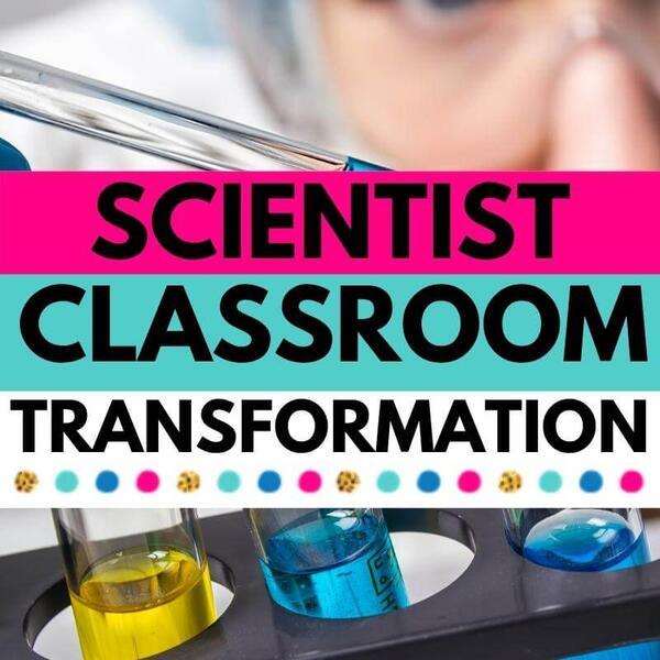 Scientist Classroom Transformation The Lifetime Learner