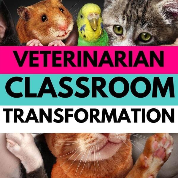 Veterinarian Classroom Transformation - The Lifetime Learner