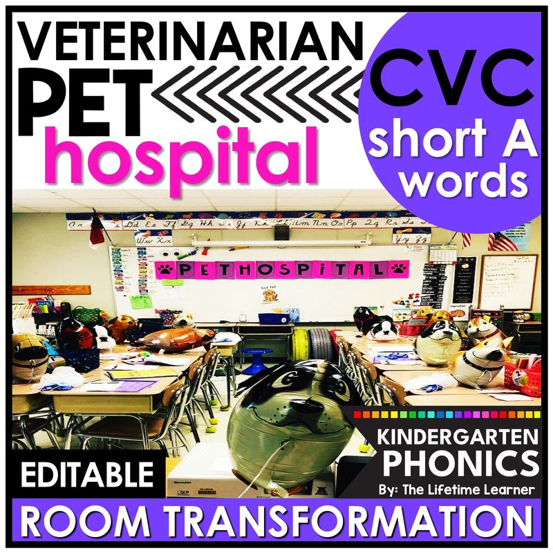 Kindergarten Short A Veterinarian Room Transformation - The Lifetime ...
