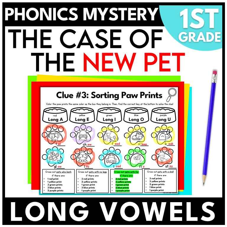 Pet Phonics Mystery 1st Grade | Vowel Teams Activity