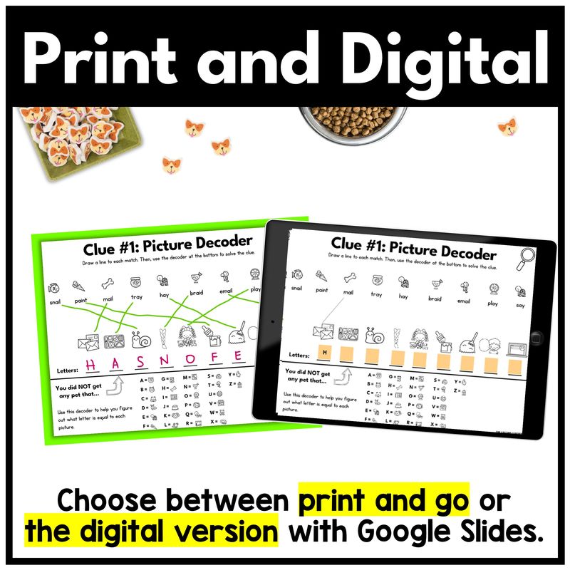 Pet Phonics Mystery 1st Grade | Vowel Teams Activity