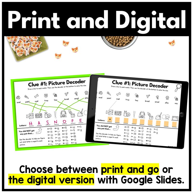 2nd Grade Pet Math Mystery Skip Counting - The Lifetime Learner