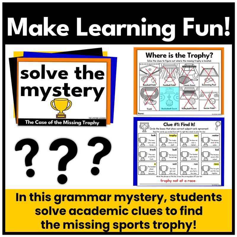 Pronouns Grammar Mystery 2nd and 3rd Grade | Pirate Activity
